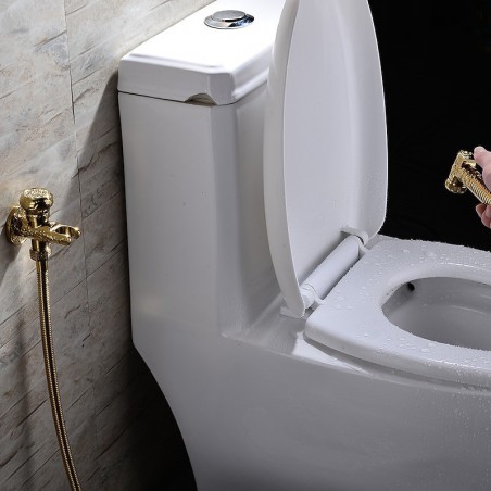 South African Premium Bidet Tap Handheld Bidet Sprayer Antique Golden ...