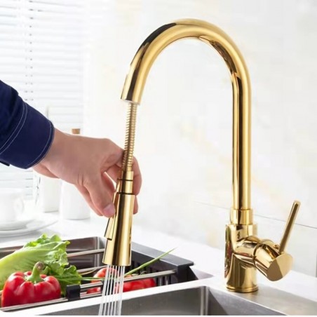 South African Premium Single Handle Electroplated Pull out Pull down ...