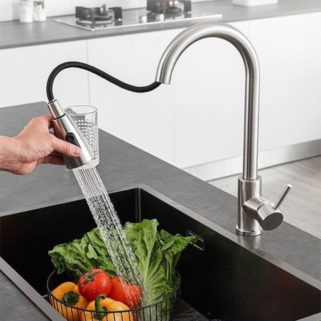 South African Premium Pull out Spray Single Handle Pull out Pull down ...